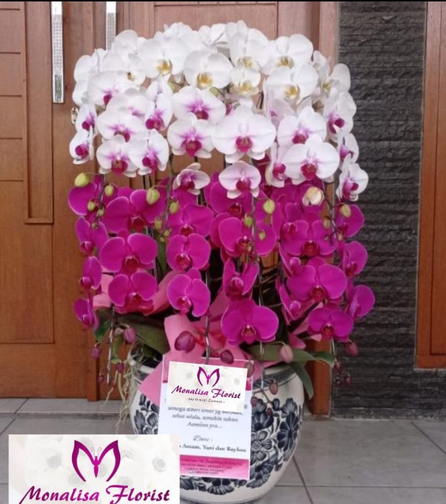 Bunga Anggrek BAGR - 4750000 - Toko Bunga Bandung - Monalisa Florist ...